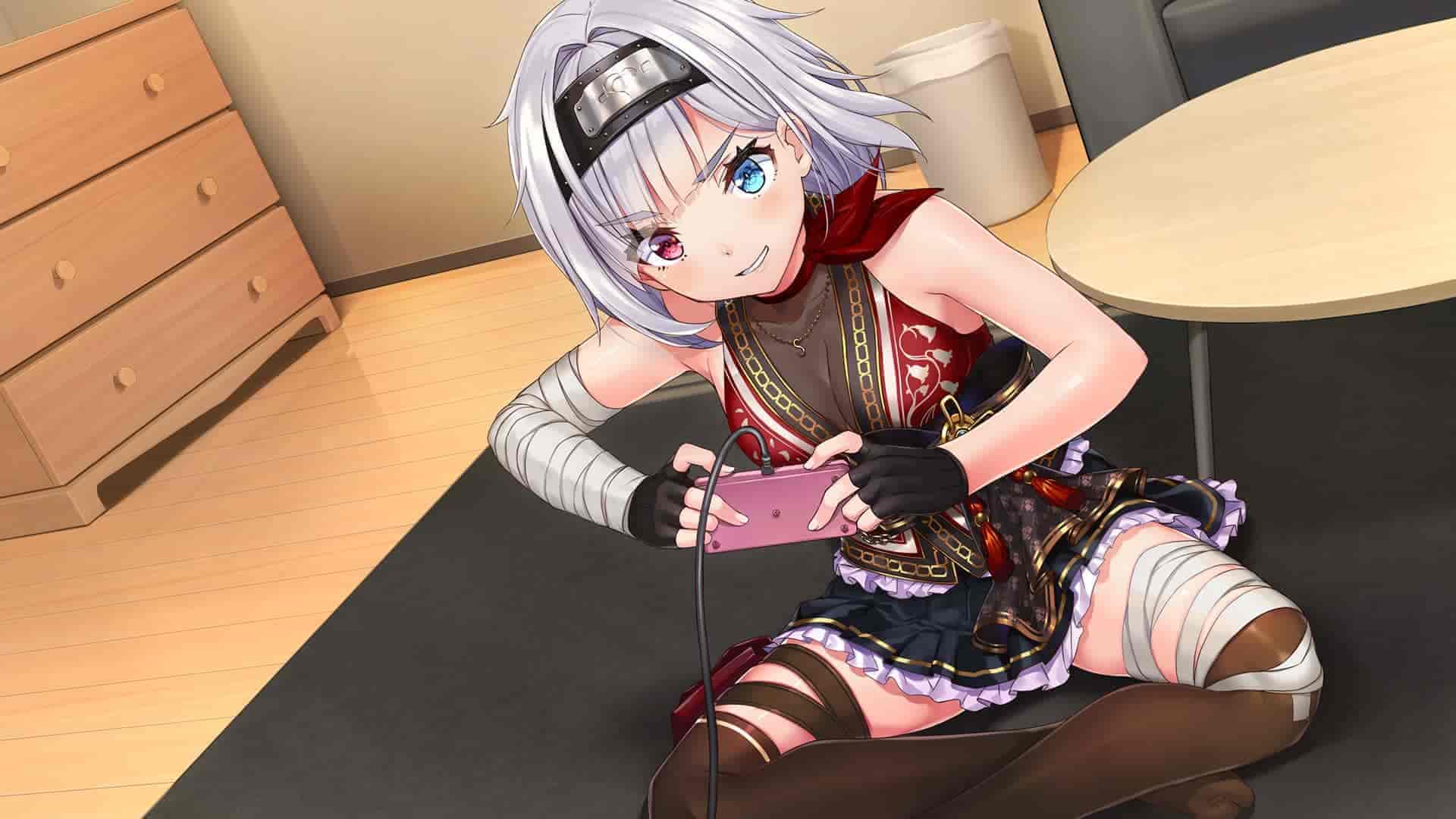 NinNinDays2 R18UNC/官方中文/[更新完美版][NSP] – SKY电玩人